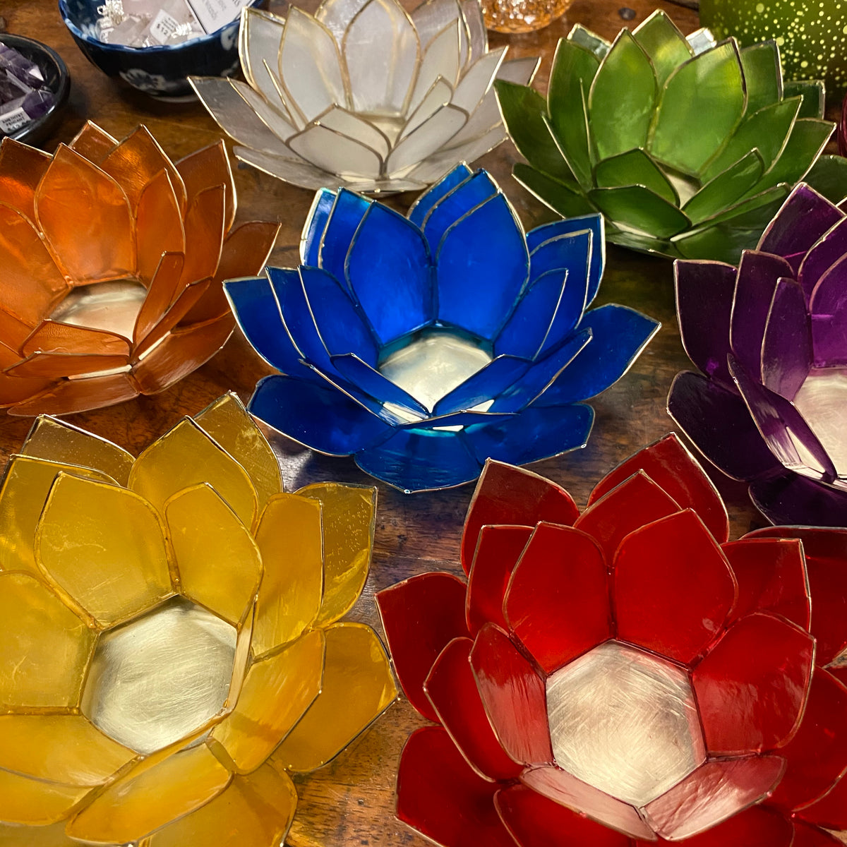 Capiz Shell Lotus Tealight Lamp – Zanzibar Fair Trade